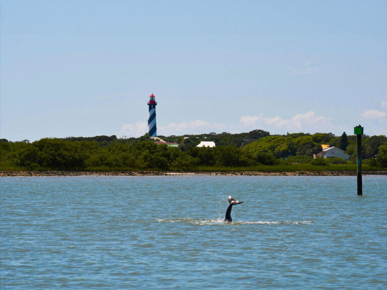 Things to Do in St. Augustine in June | Fury